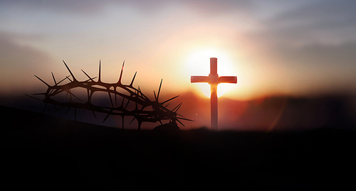 보혈 | 유토이미지 검색 결과