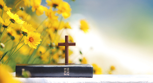 유토이미지 | 사진·이미지