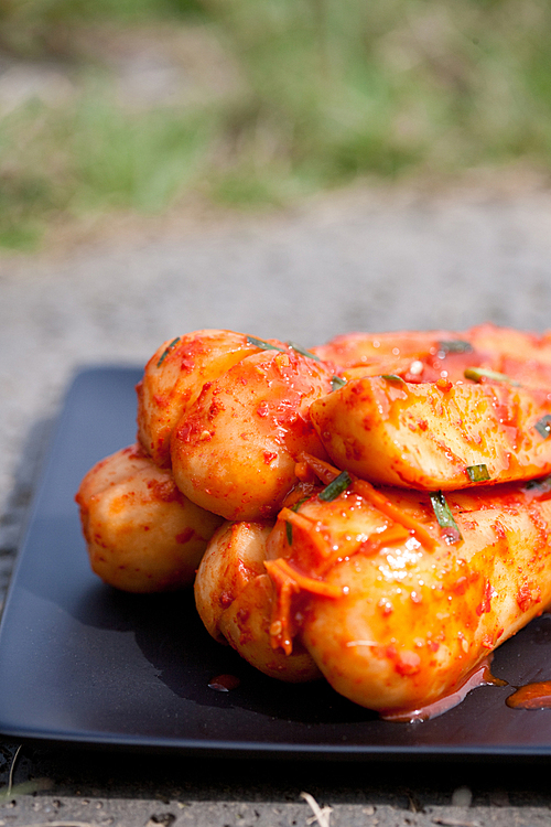 풀밭 | 유토이미지 검색 결과