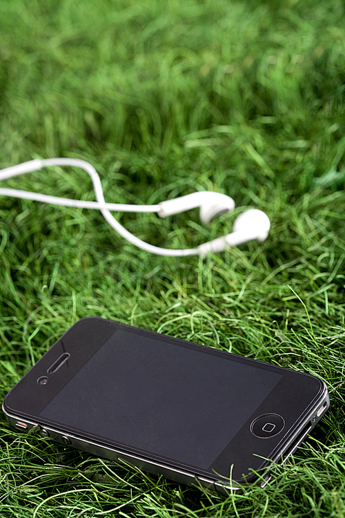 PHO073 | 유토이미지 검색 결과