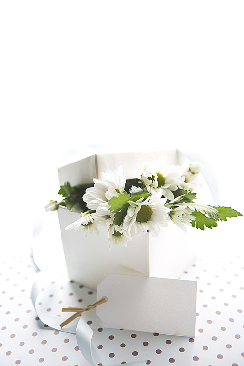 PHO260 | 유토이미지 검색 결과