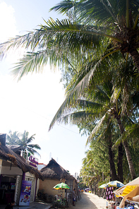 PHO273 | 유토이미지 검색 결과