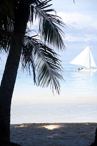 PHO273 | 유토이미지 검색 결과