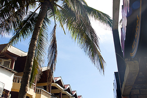 PHO273 | 유토이미지 검색 결과