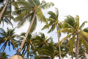 PHO273 | 유토이미지 검색 결과