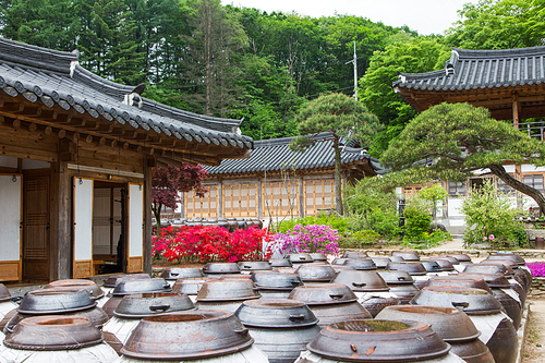 PHO416 | 유토이미지 검색 결과