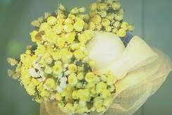 유토이미지 | Ornament