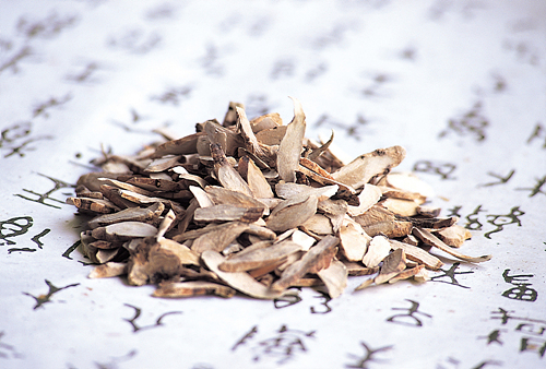 유토이미지 | Object Icon[UTO002]447