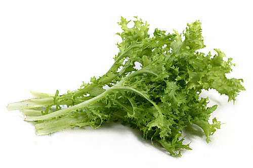 NDX007_017 | 유토이미지 | 상세페이지 | 베이직샵 | 사진 | 12707881