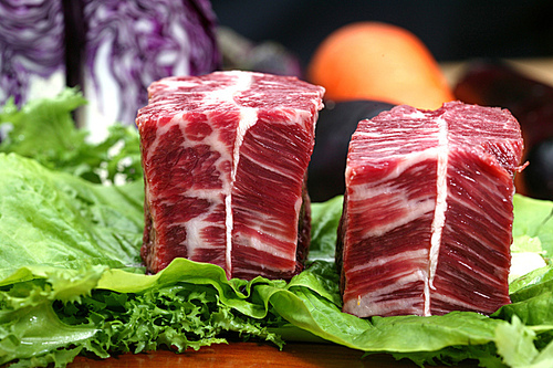 유토이미지 | NDX008_046