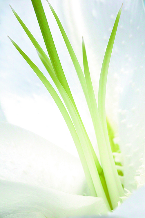 유토이미지 | NDX002_048