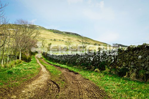 유토이미지 | Country track