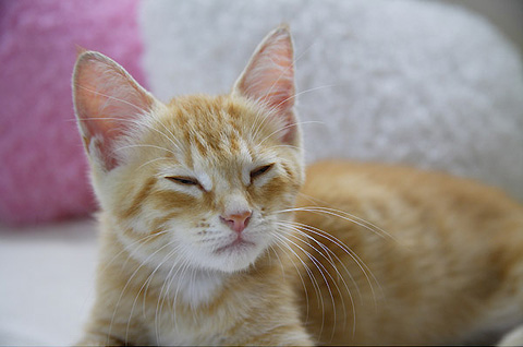 유토이미지 | gf0780184023