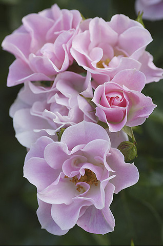 유토이미지 | gf0780233190