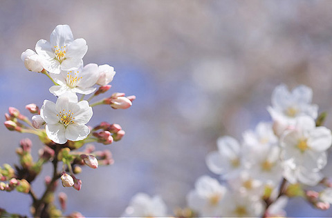 유토이미지 | gf1380178981