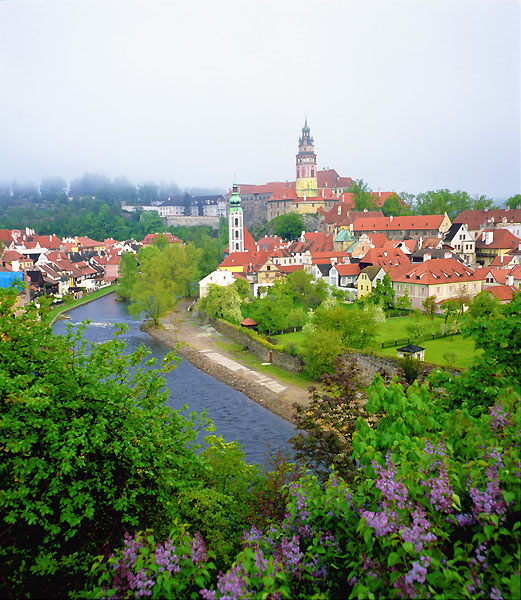 35005-0000237 | 유토이미지 | 상세페이지 | 베이직샵 | 15566084