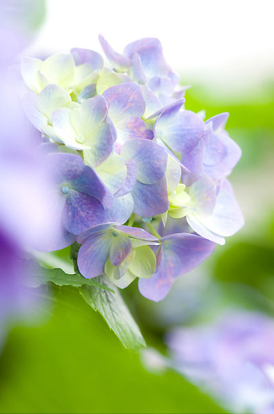 유토이미지 | 35005-0000269