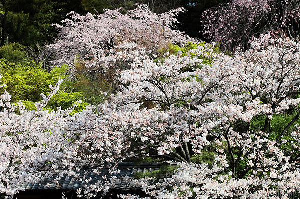 유토이미지 | 35005-0000066