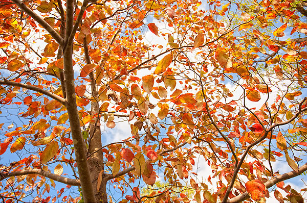 유토이미지 | 35005-0000121