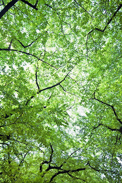 유토이미지 | 35005-0000416