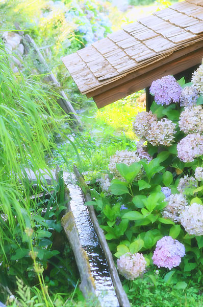 유토이미지 | 35005-0000668