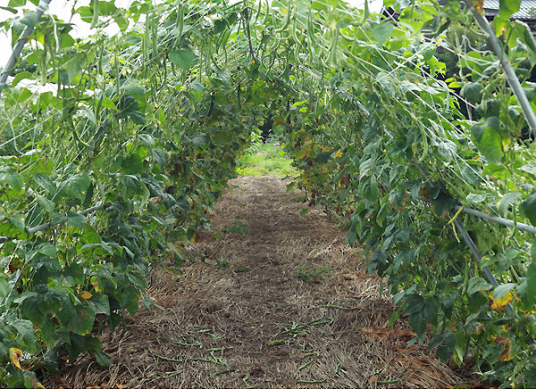 유토이미지 | 35005-0000980