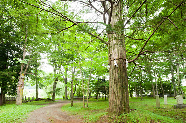 유토이미지 | 35005-0001563