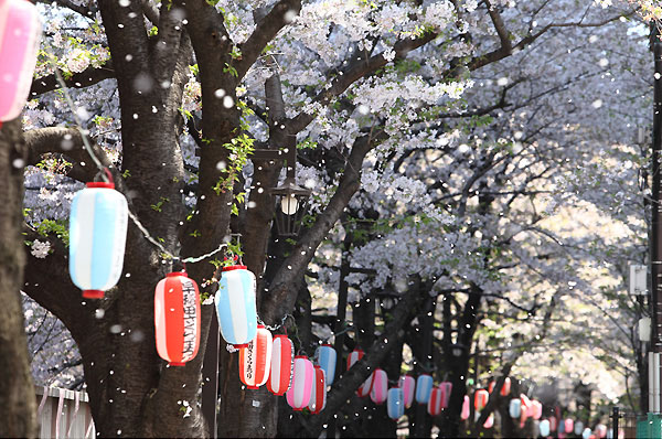 유토이미지 | 35005-0001915