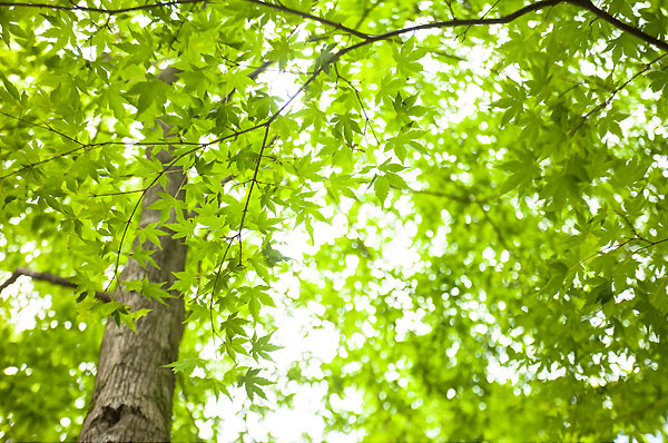 유토이미지 | 35005-0002401