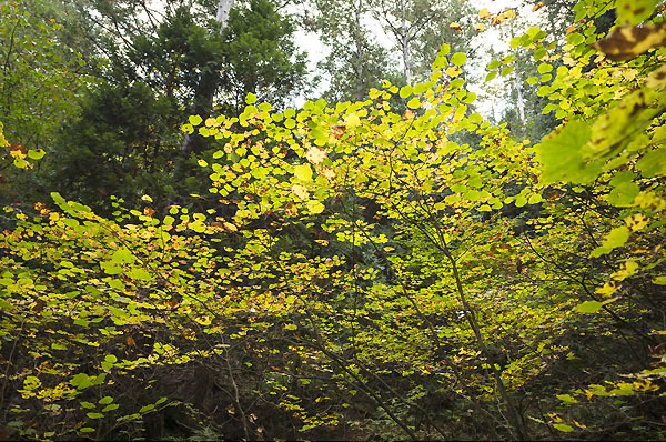 유토이미지 | 35005-0002903