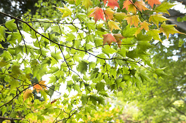 유토이미지 | 35005-0002907