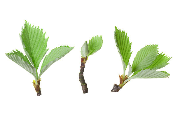 유토이미지 | 35052-0000553