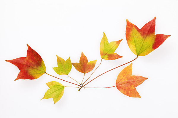 유토이미지 | 35052-0000667