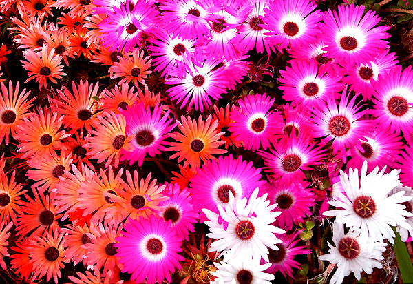 유토이미지 | 35073-0000007