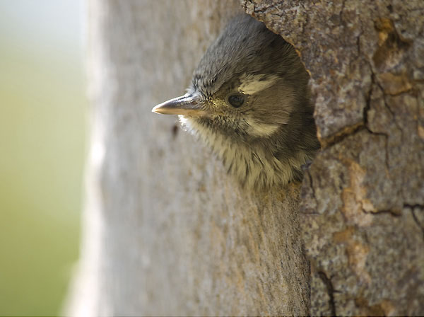 유토이미지 | 35101-0000005