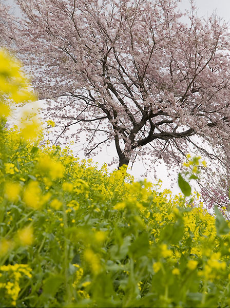 유토이미지 | 35101-0000066