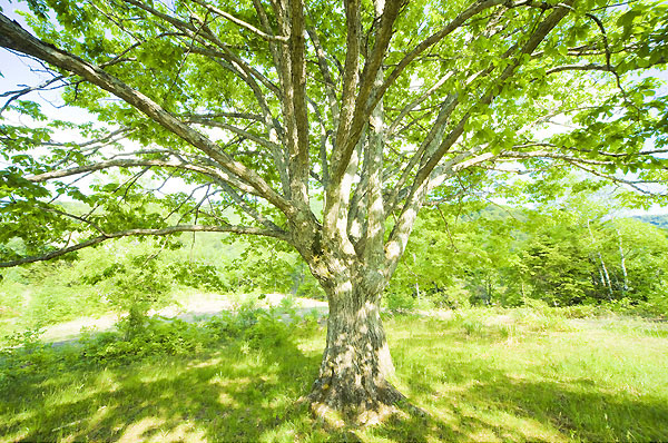 유토이미지 | 35147-0000261