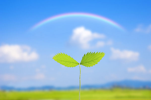 유토이미지 | 35147-0000601