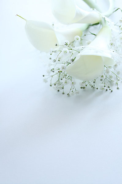 유토이미지 | 35214-0001596