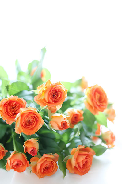 유토이미지 | 35214-0003371