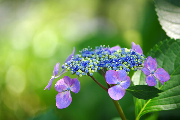 유토이미지 | 35385-0000007