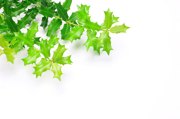 유토이미지 | 35477-0001009