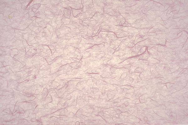 유토이미지 | 35497-0000008