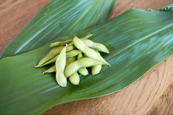 유토이미지 | 35501-0000341