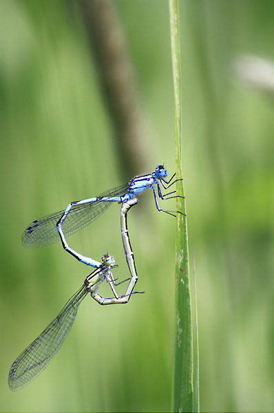 유토이미지 | 35504-0000181