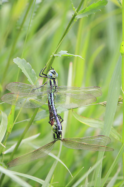유토이미지 | 35504-0000198
