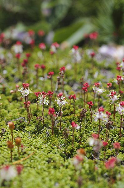 유토이미지 | 35504-0000261