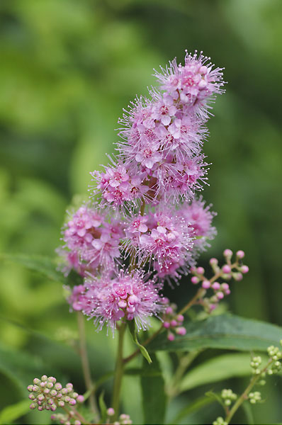 유토이미지 | 35504-0000310