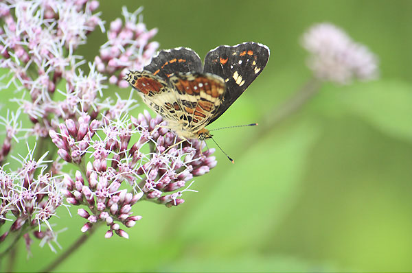 유토이미지 | 35504-0000319