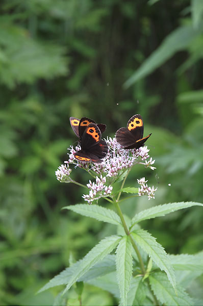 유토이미지 | 35504-0000335